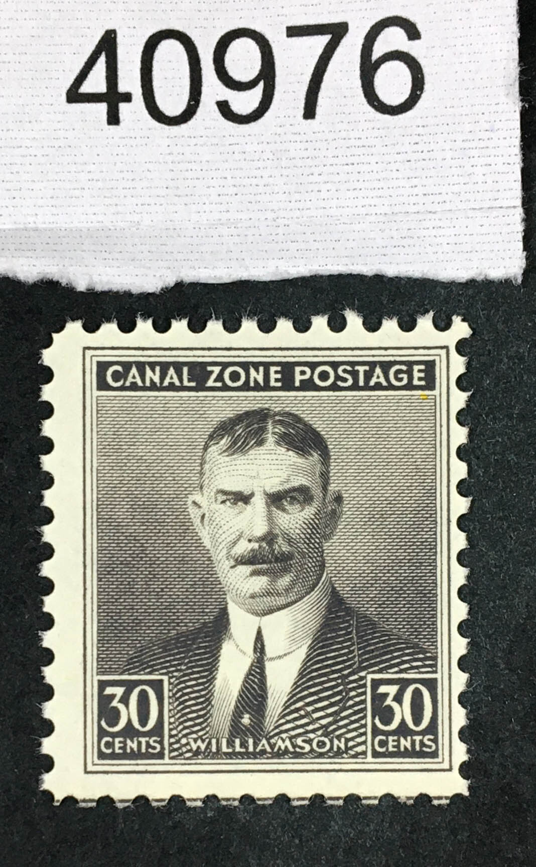 US Stamps Canal Zone # 113 DRY Printing Dull GUM Mint OG NH $ LOT ...