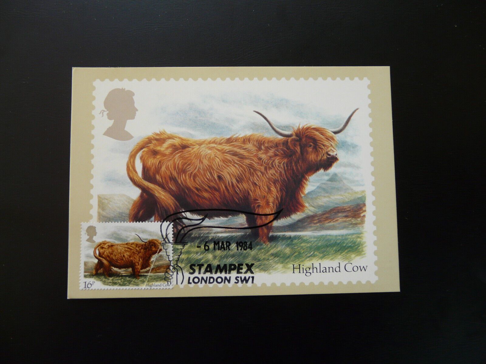 domestic animal Highland cow cattle maximum card Great Britain 1984 ...