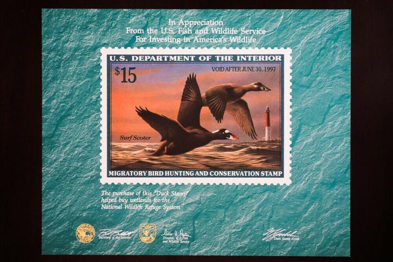 US Federal Duck Stamp Collection | United States, Stamp / HipStamp