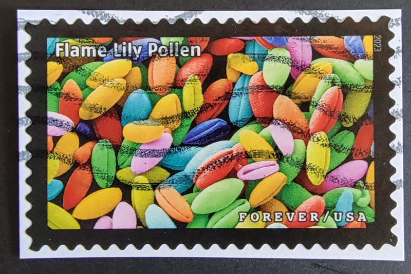 US 5802s (2023 Life Magnified - Flame Lily Pollen) | United States ...
