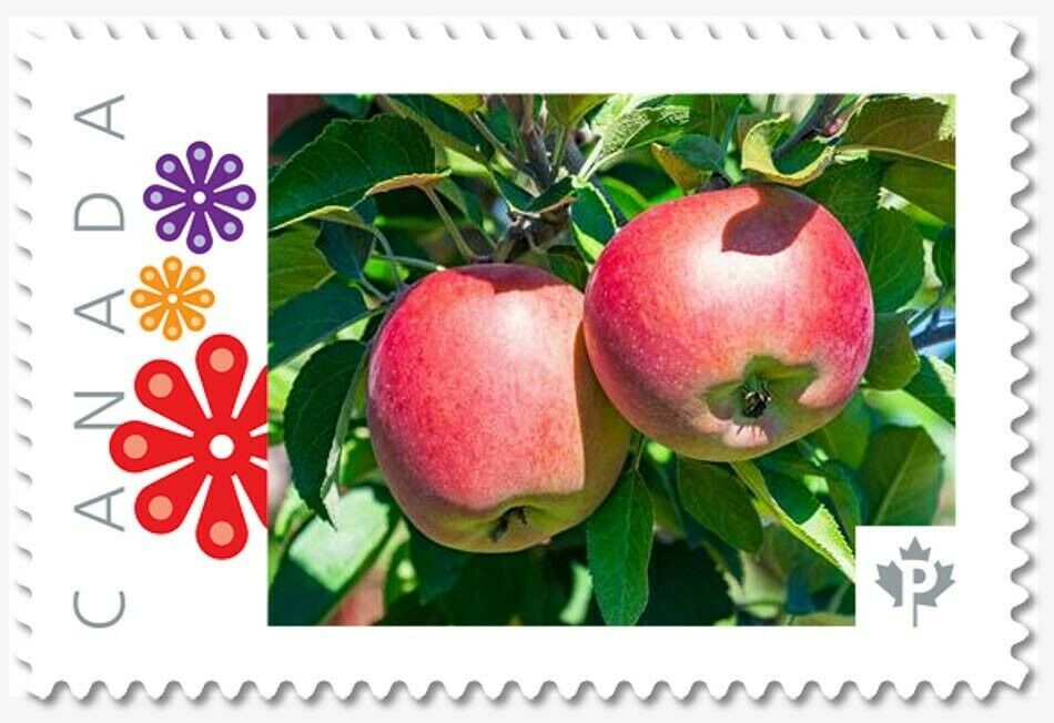 cp. RED APPLE = Picture Postage-TM Personalized stamp MNH Canada 2019 ...