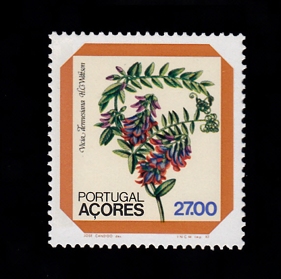 Azores Scott #331 MNH | Europe - Portugal & Colonies, General Issue ...