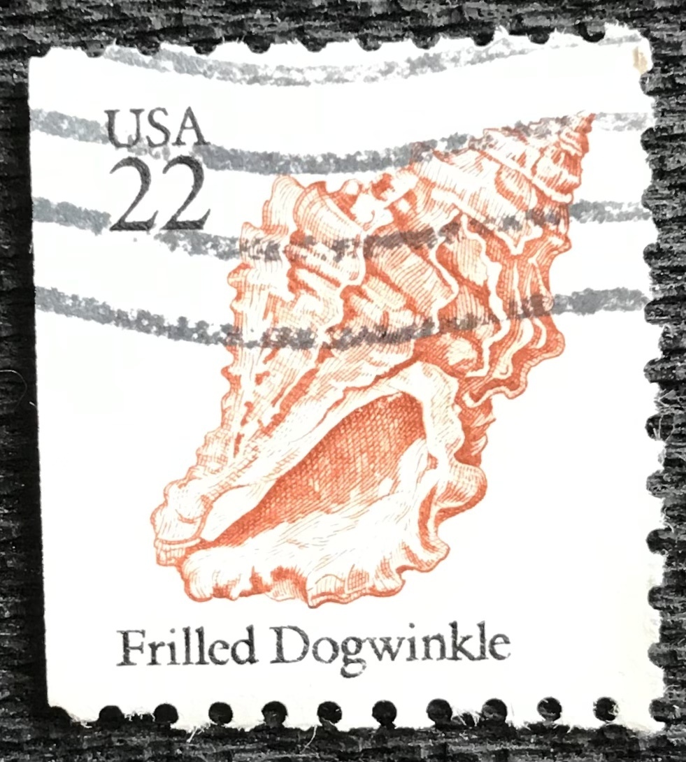 US #2117 Used Booklet Single Frilled Dogwinkle Shells SCV $.25 L27 ...