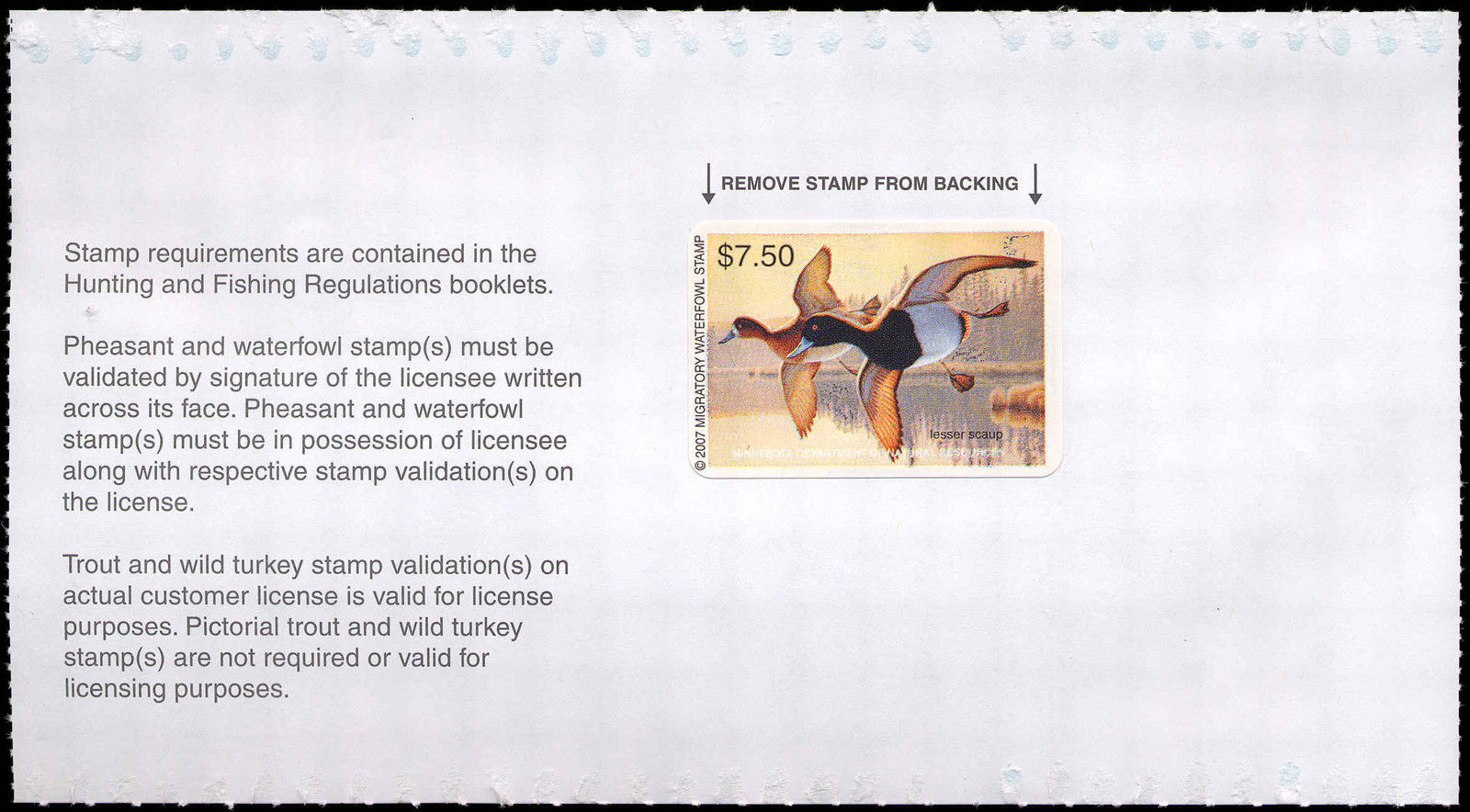 Minnesota #31 2007 State Duck Stamp Lesser Scaup | United States, Stamp ...