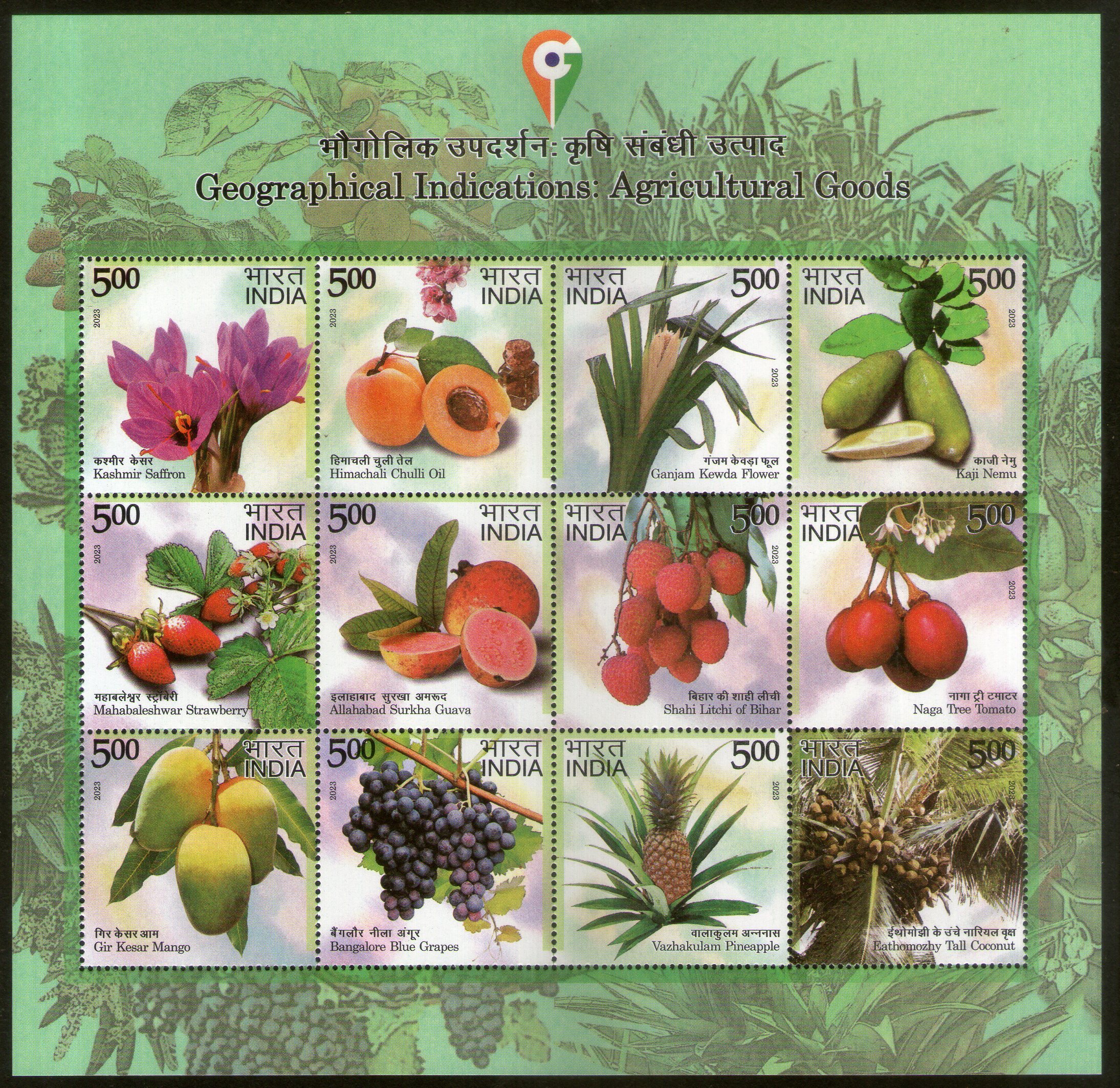 India 2023 Geographical Indications Agricultural Goods Fruits 12v ...