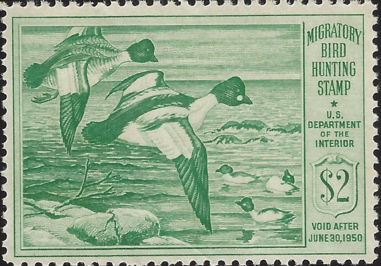 US Scott #RW16 MNH OG VF 1949 US Federal Duck Stamp | United States ...
