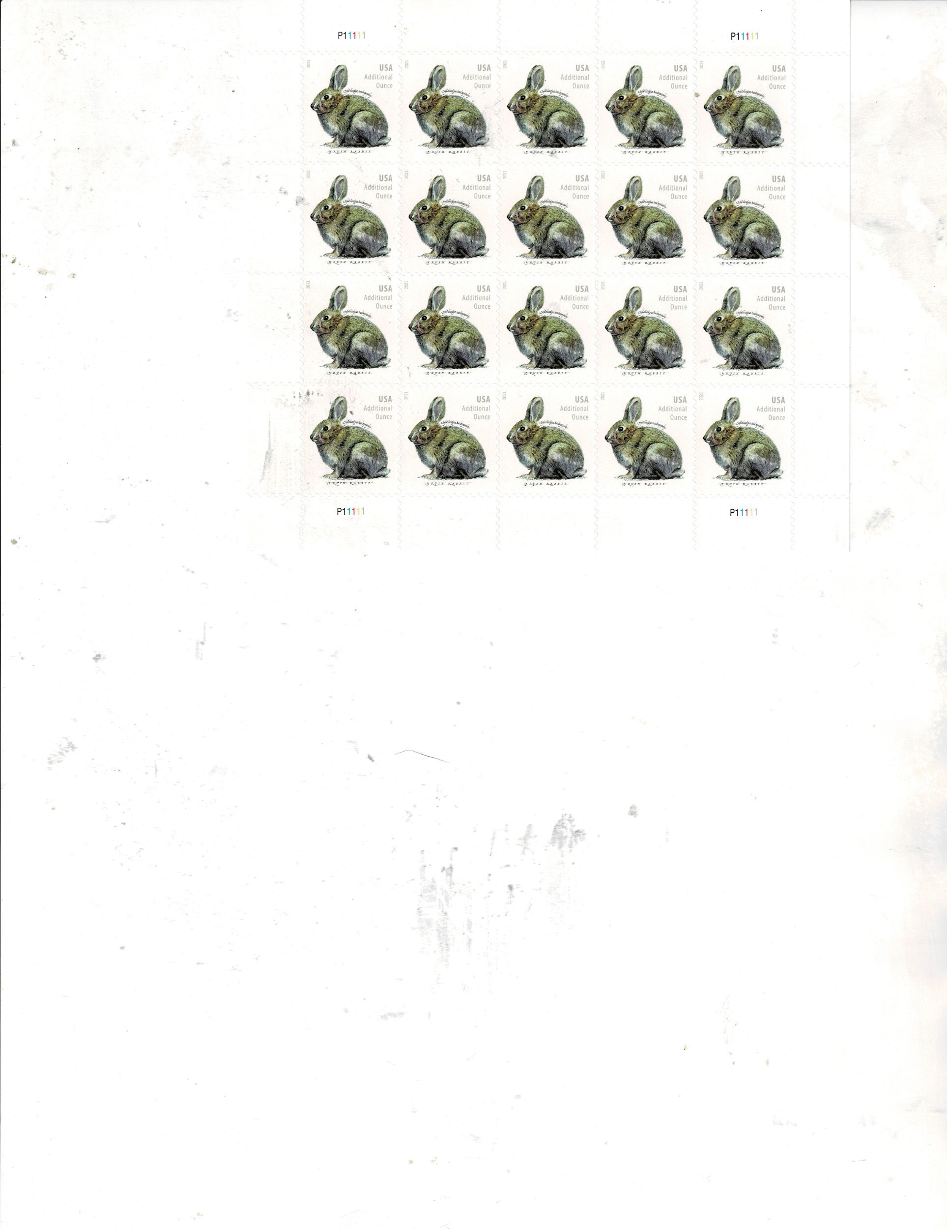 Rabbit Additional Ounce US Postage Sheet #5544 VF MNH | United States ...