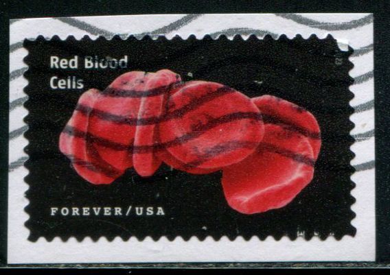 5802a US (66c) Life Magnified - Red Blood Cells SA, used on paper ...