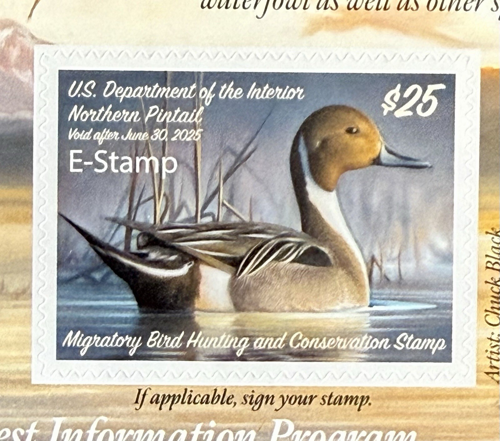 2024 Federal Duck Stamps #RW91B "E-Stamp" Version No Bar Code ...