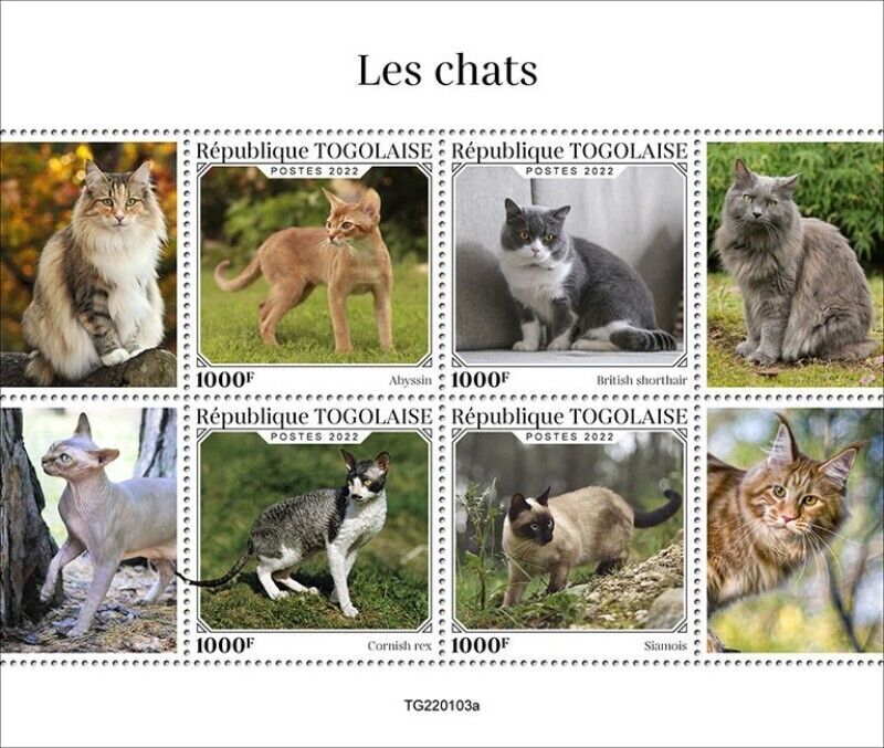 Togo - 2022 Cat Breeds, Cornish Rex, Siamese - 4 Stamp Sheet ...
