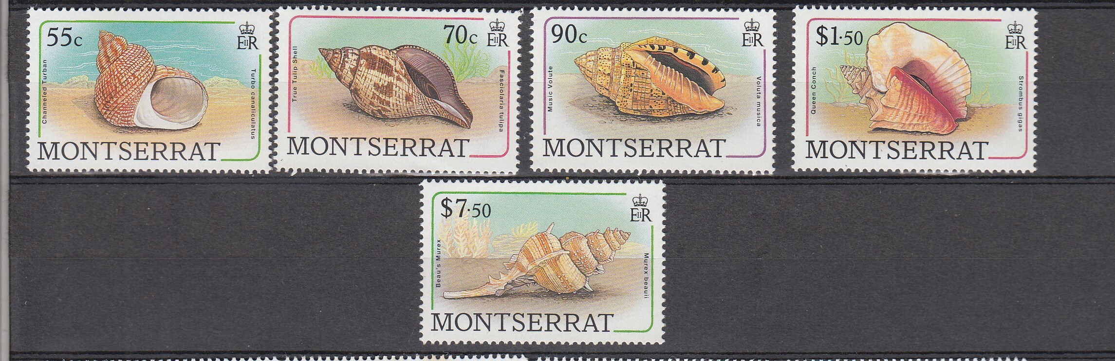 J40843 JL Stamps 1988 montserrat part of mnh #687-9,692,695 sea shells ...