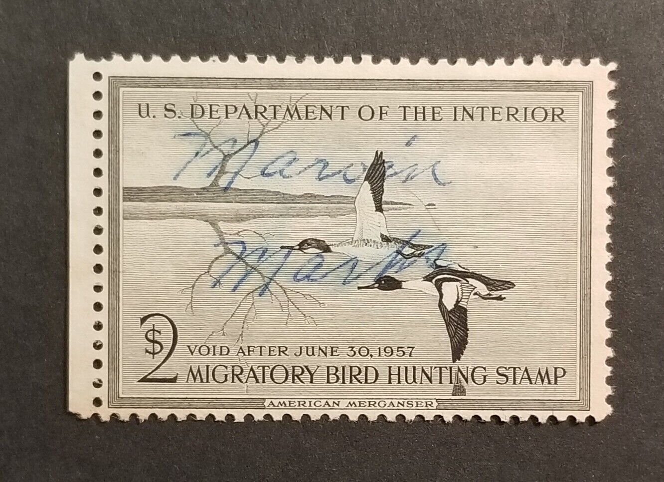 US Scott RW23 1956 Used Signed Duck Stamp z5790 | United States, Duck ...