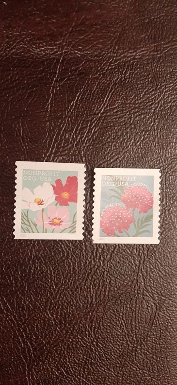 US Scott # 5664-5665; Two used non-profit (5c), uncancelled, 2022; off ...