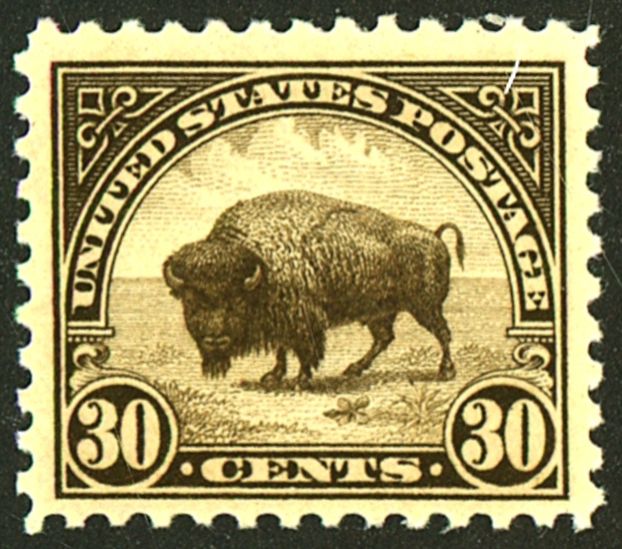 U.S. #569 Mint OG NH | United States, General Issue Stamp / HipStamp