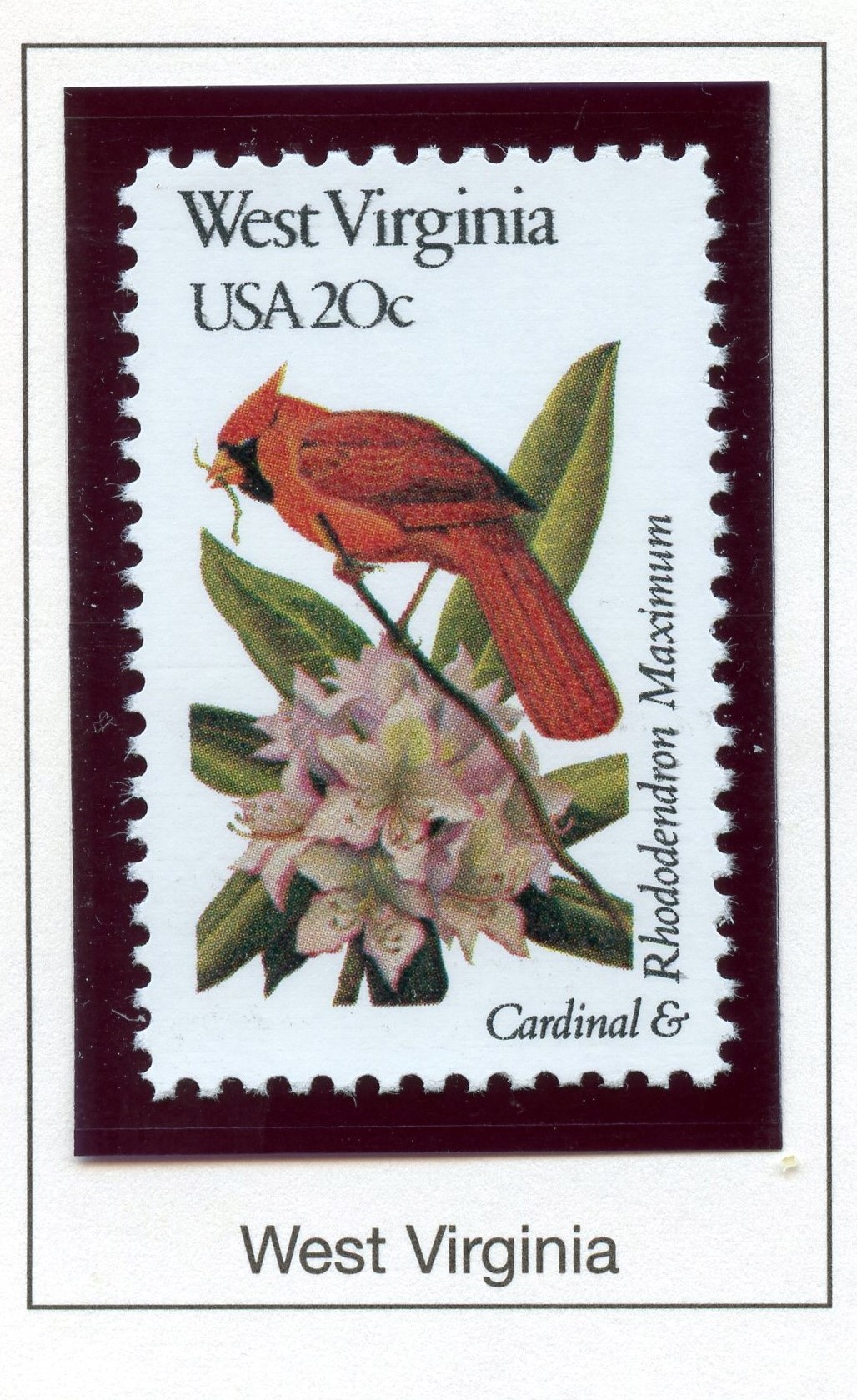COMPLETE 5 PAGE - SET OF ALL 50 STATE BIRD STAMPS FREE SHIPPING U.S ...
