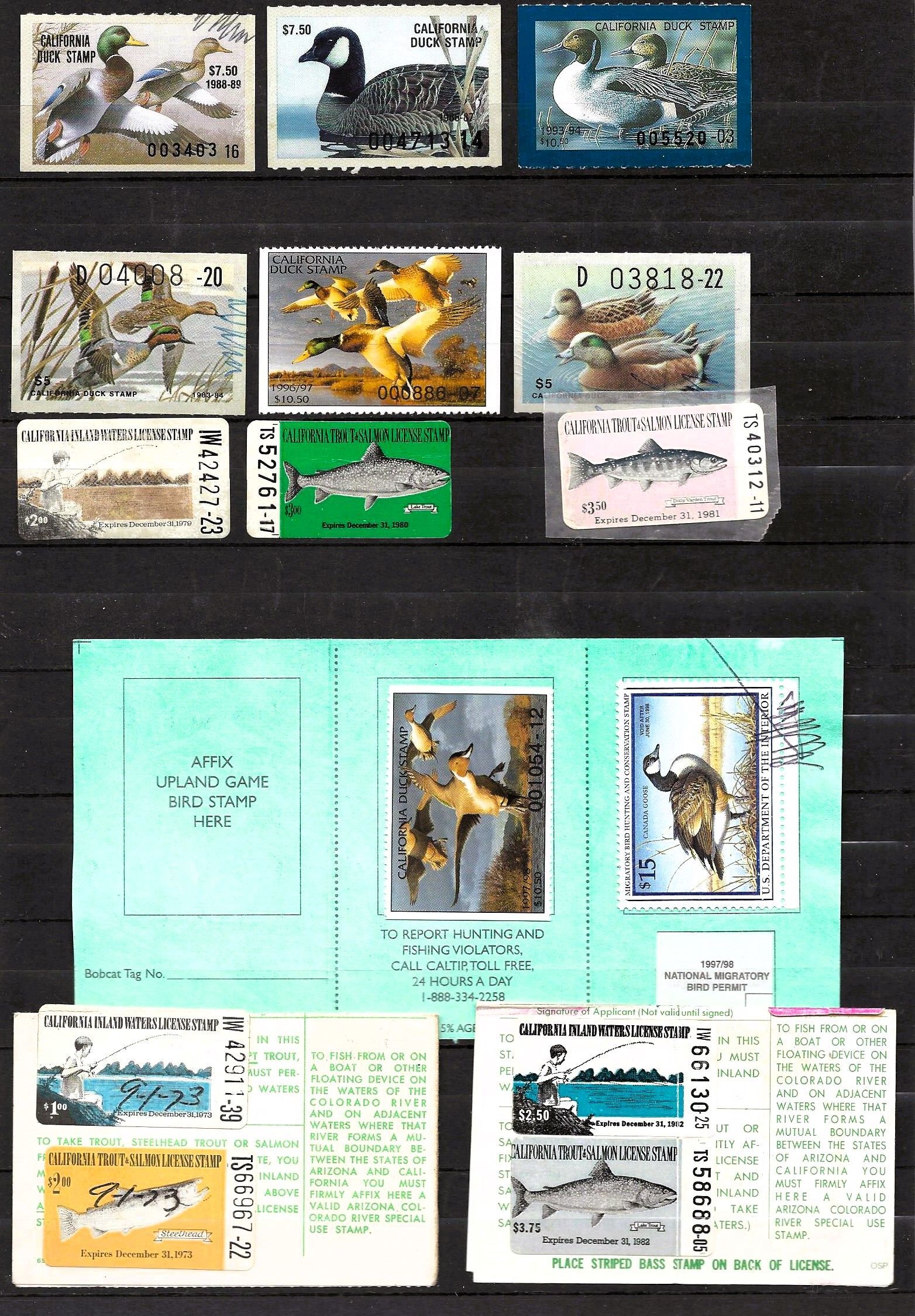 United States California Duck and Fishing Stamps and Licenses | United ...