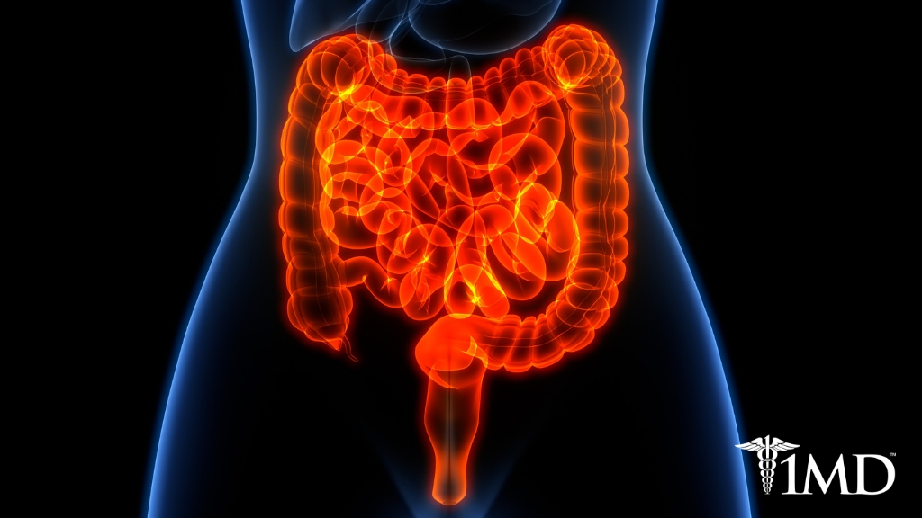 Leaky Gut Syndrome 101 Symptoms Causes Treatment And Prevention 1md