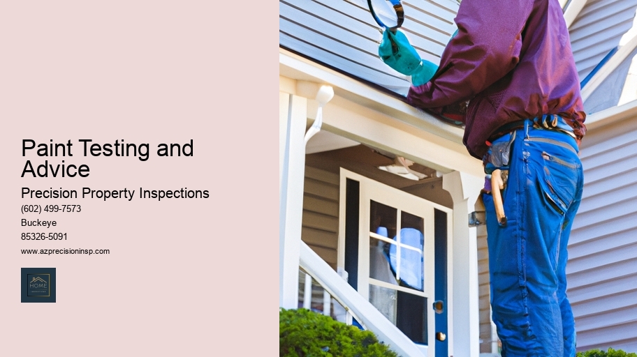 Paint Testing and Advice