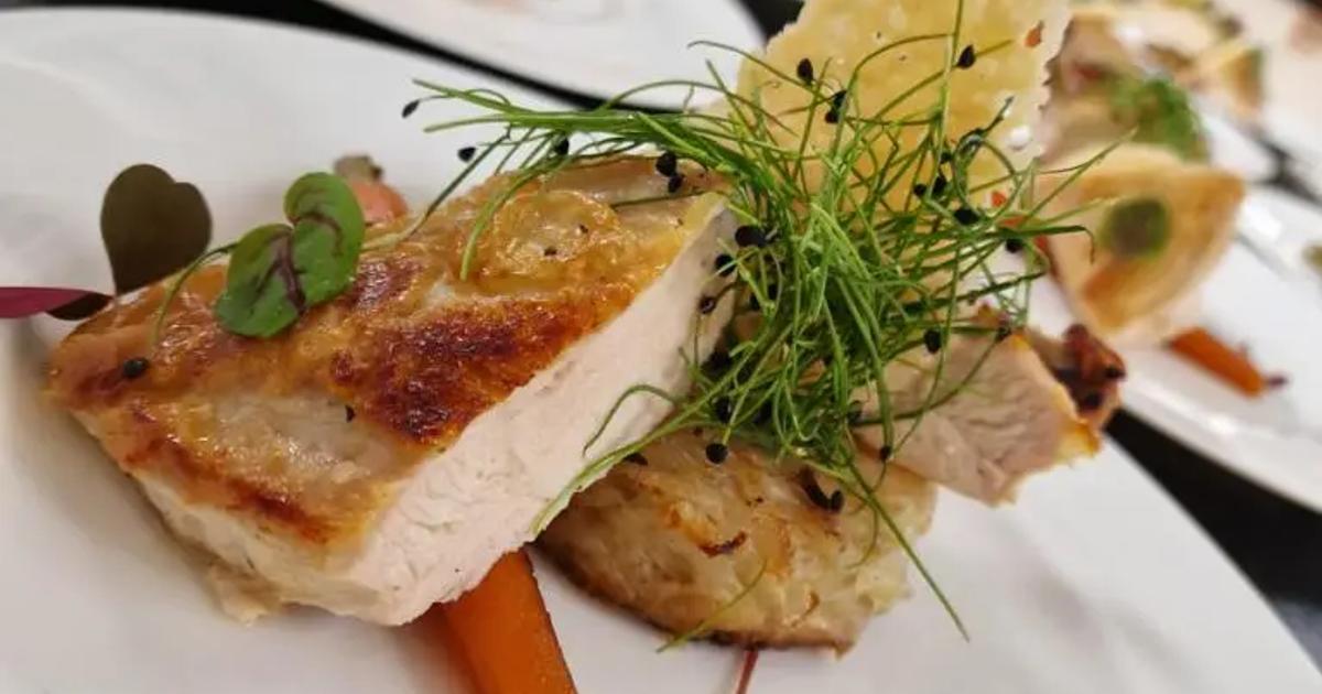 Gourmet Tasting Menus - Diverse Culinary Adventures