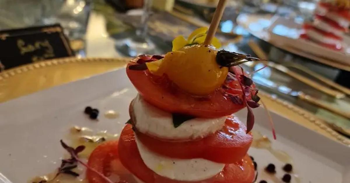 Gourmet Tasting Menus - Diverse Culinary Adventures