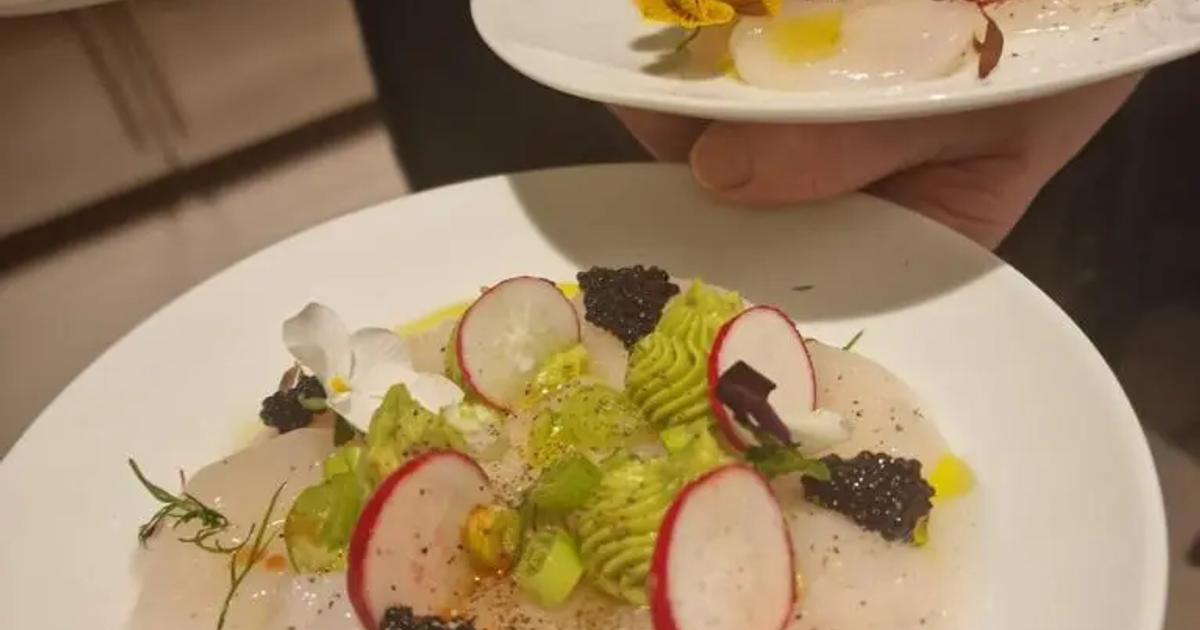 Gourmet Tasting Menus - Diverse Culinary Adventures