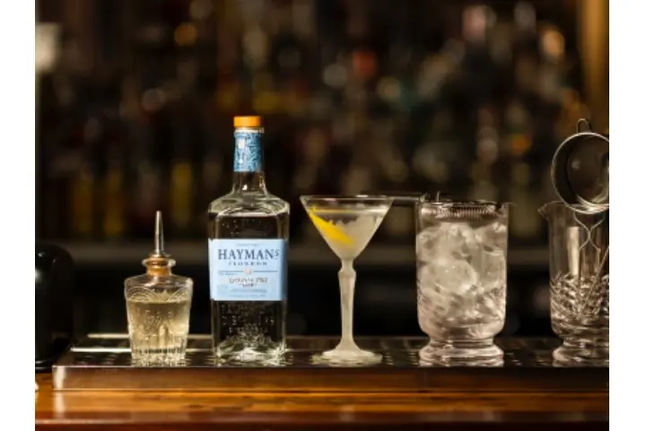 Martini Cocktail Masterclass – Mixology Skills Workshop