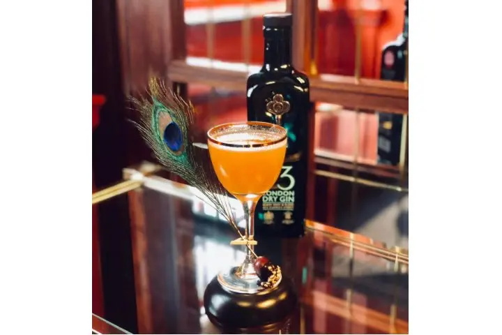 Private Event Bartender Server Premium Service