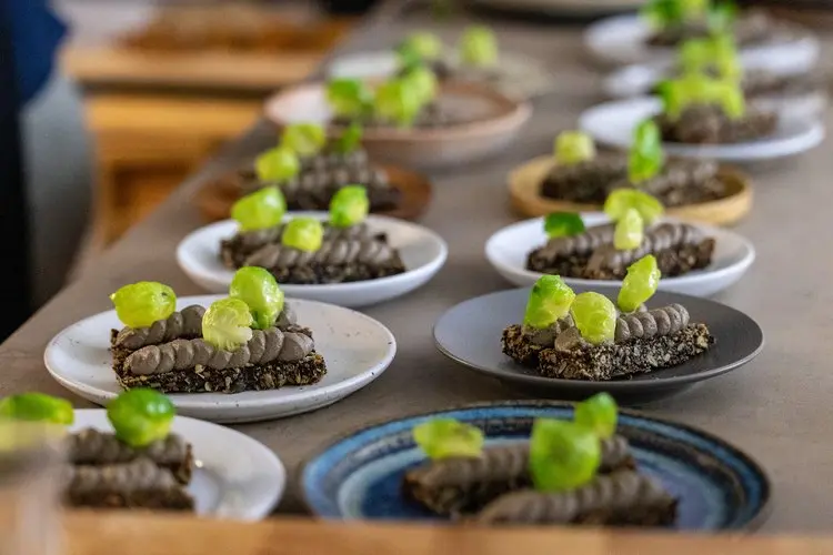 Plant-Based Event Canapés by Chef Nancy at your Home or Office