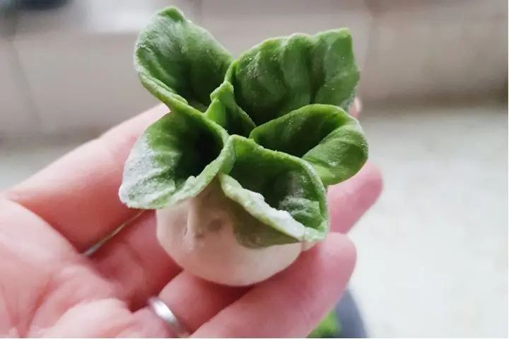 Designer Dumpling Masterclass - Culinary Craftsmanship