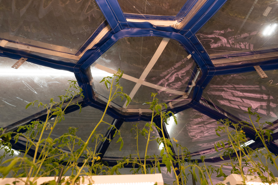 biodome