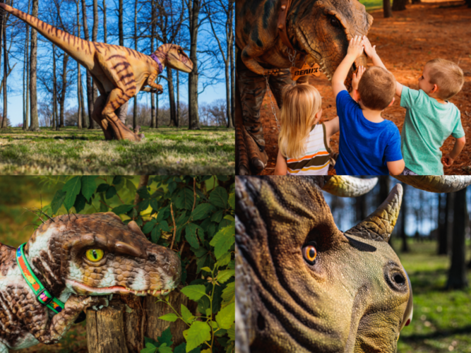 Dinosaur Encounter with Feller Express | Hoopla