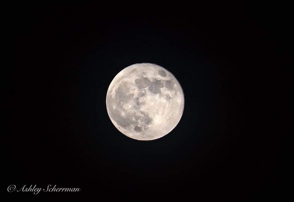 Full Moon & Lunar Beltane Forest Bathing | Hoopla