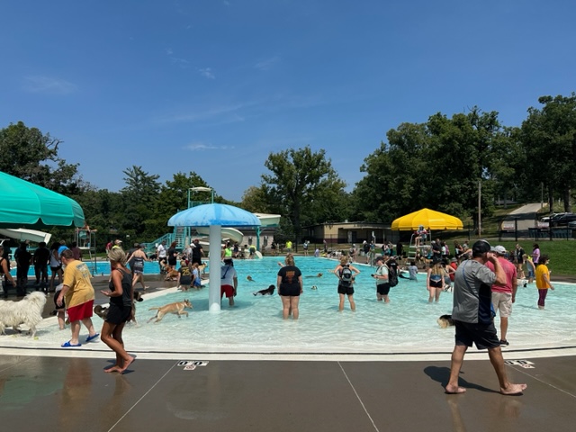 K9Splash Dog Swim | Hoopla