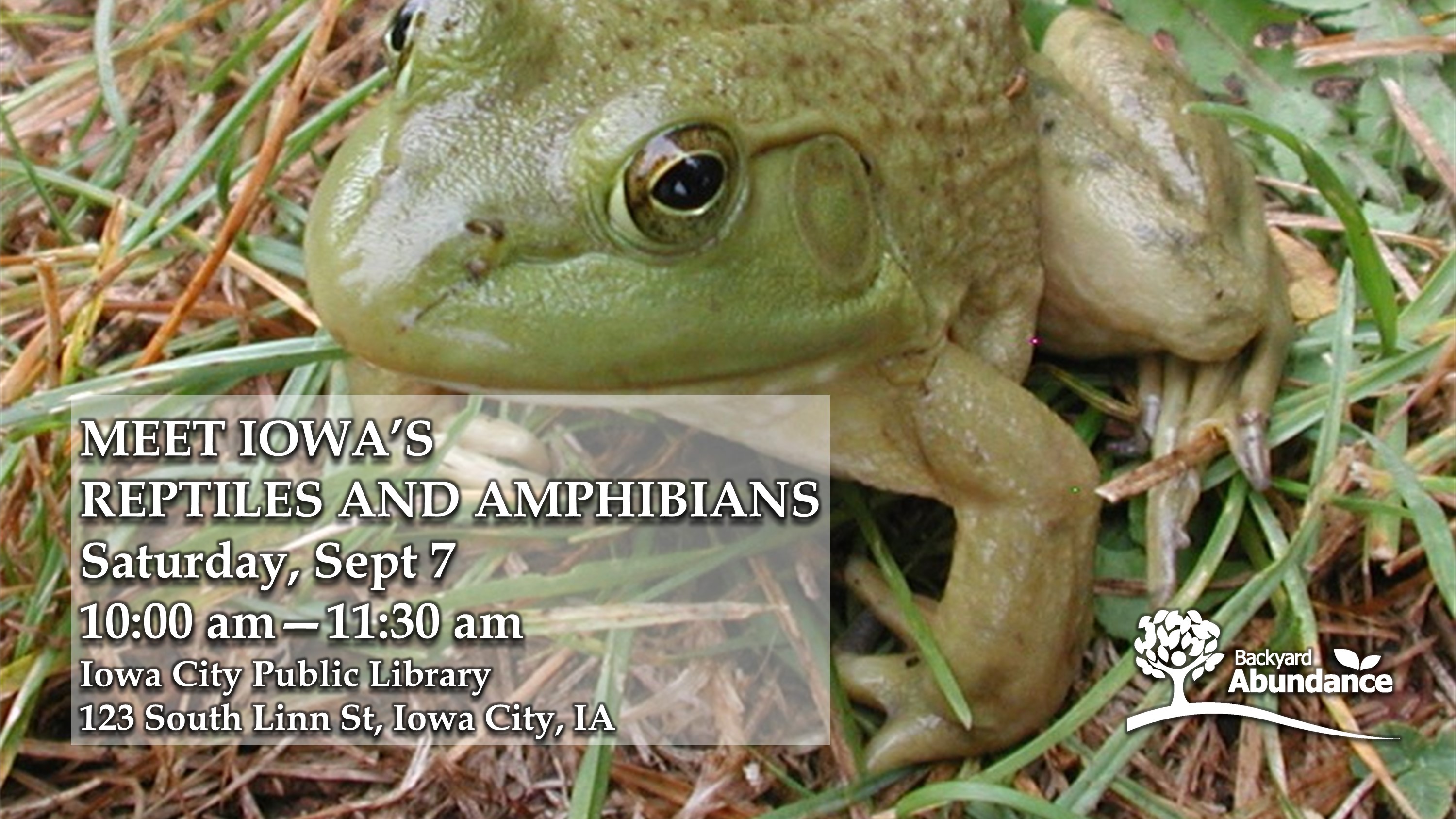 Meet Iowa's Reptiles and Amphibians | Hoopla