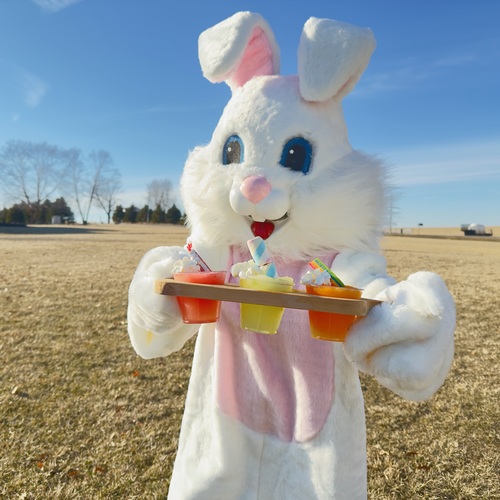 Bunny Bash | Hoopla