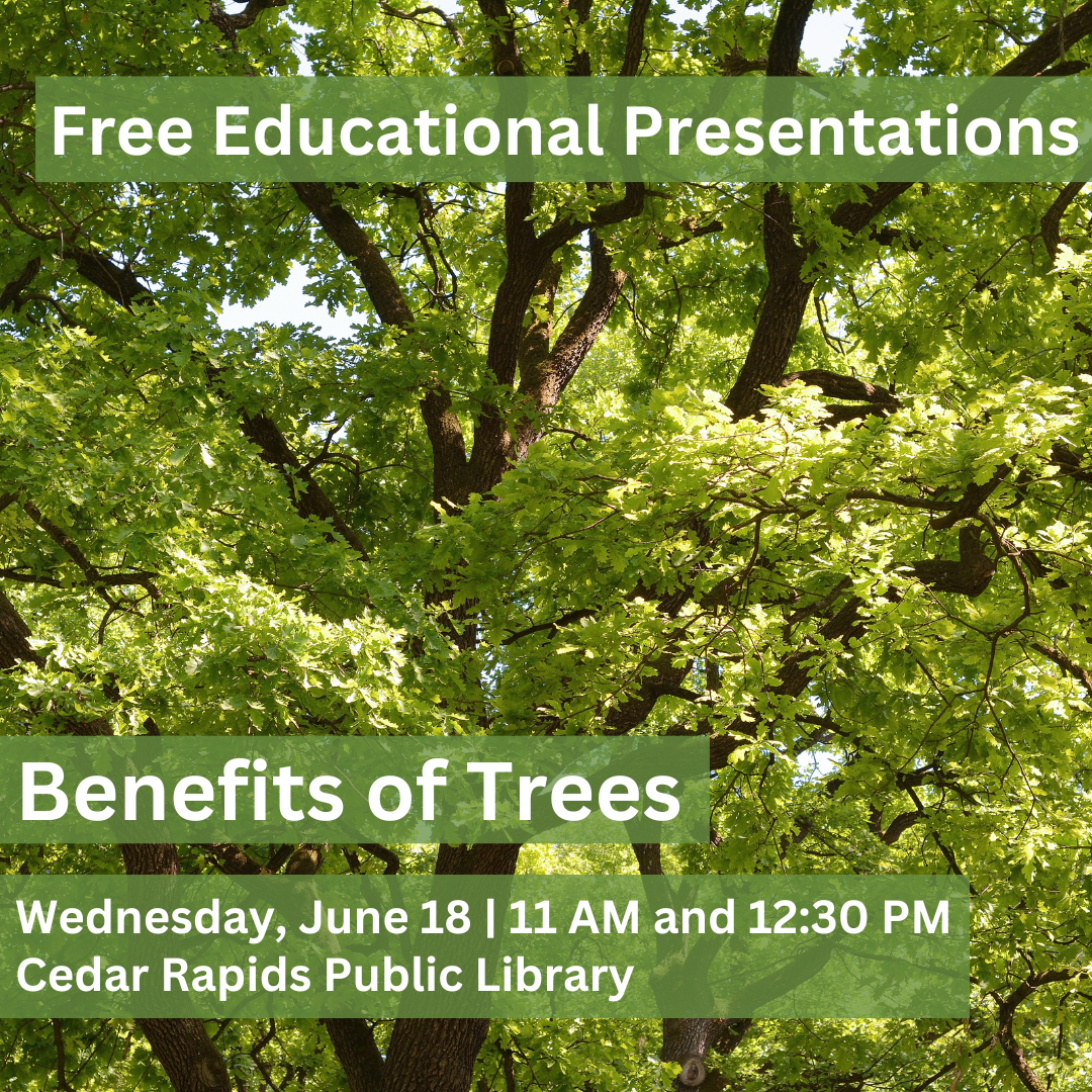 Tree Benefits Presentation | Hoopla