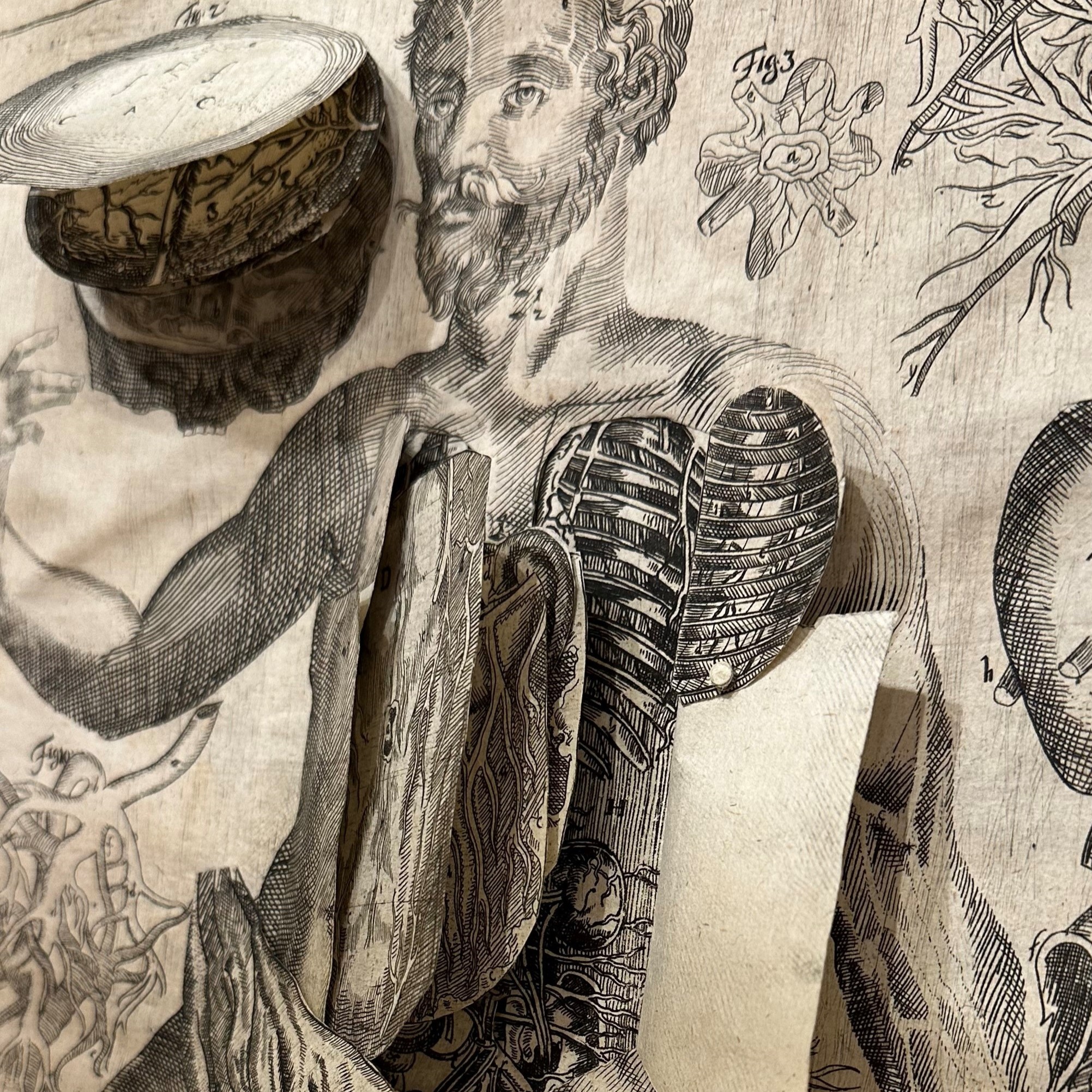 Musings on Folded, Flapped, Rolled, and Manipulated Paper | Hoopla