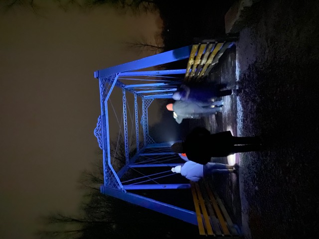 ONLINE Backyard Chicken Class | Hoopla