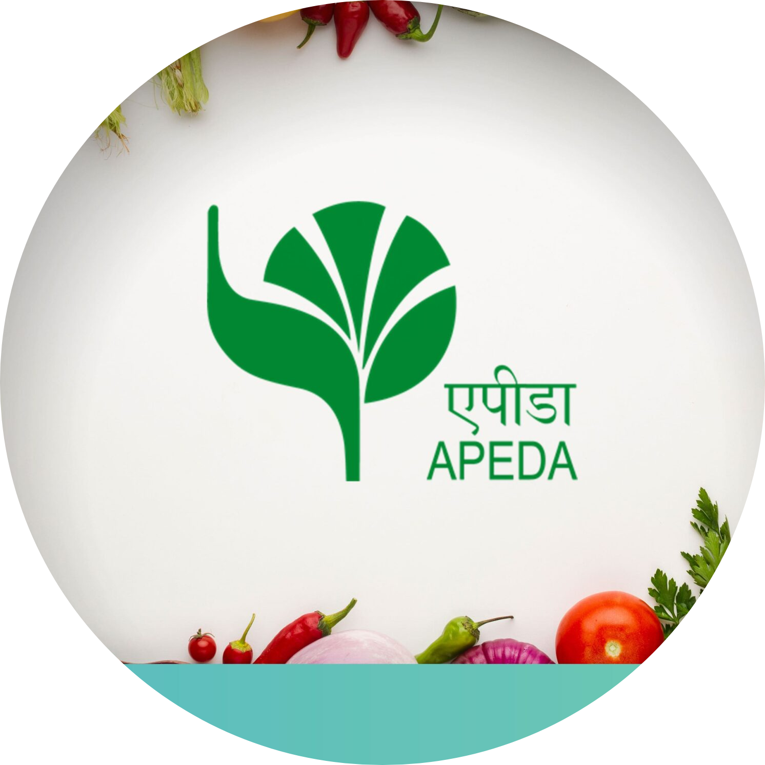 APEDA Spearheads Transformative Initiative, Offering Support to 500 ...
