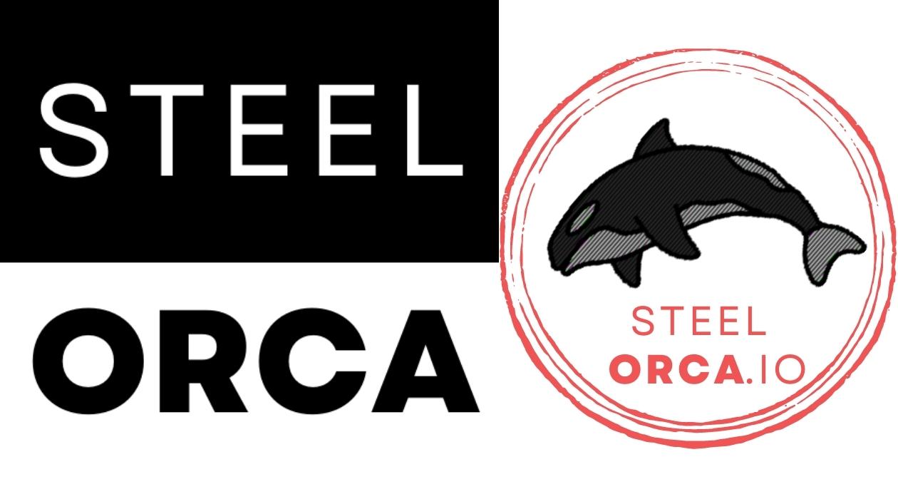The Steel Orca - InboxReads