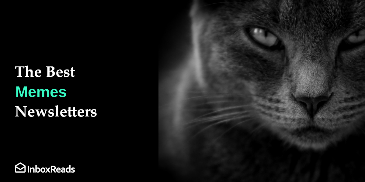 The Best Memes Newsletters - InboxReads