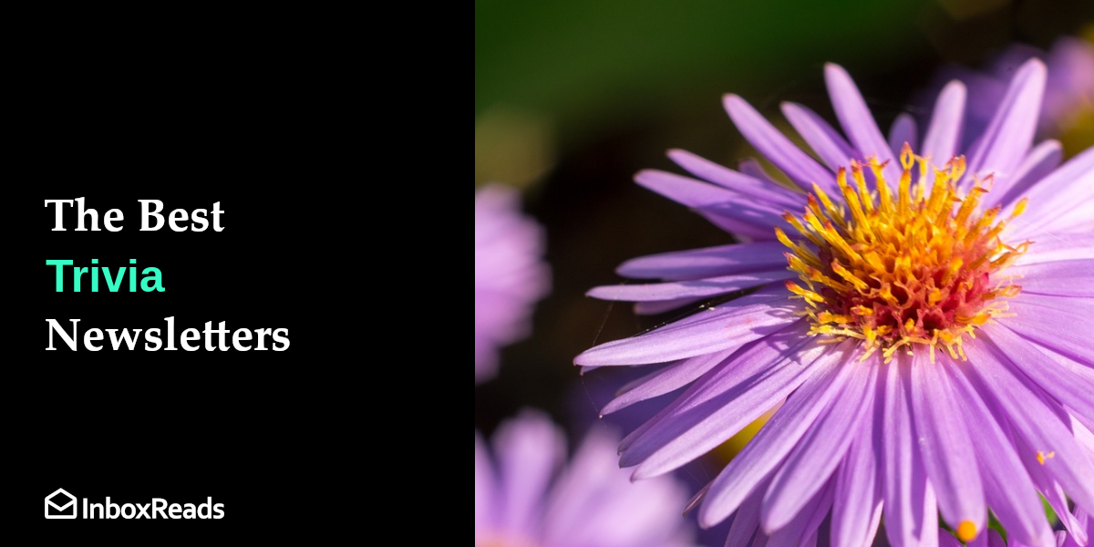 The Best Trivia Newsletters - InboxReads