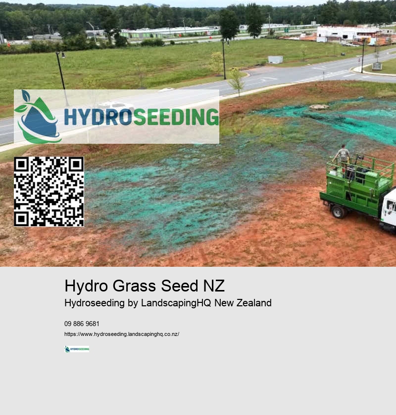 Hydro Grass Seed NZ