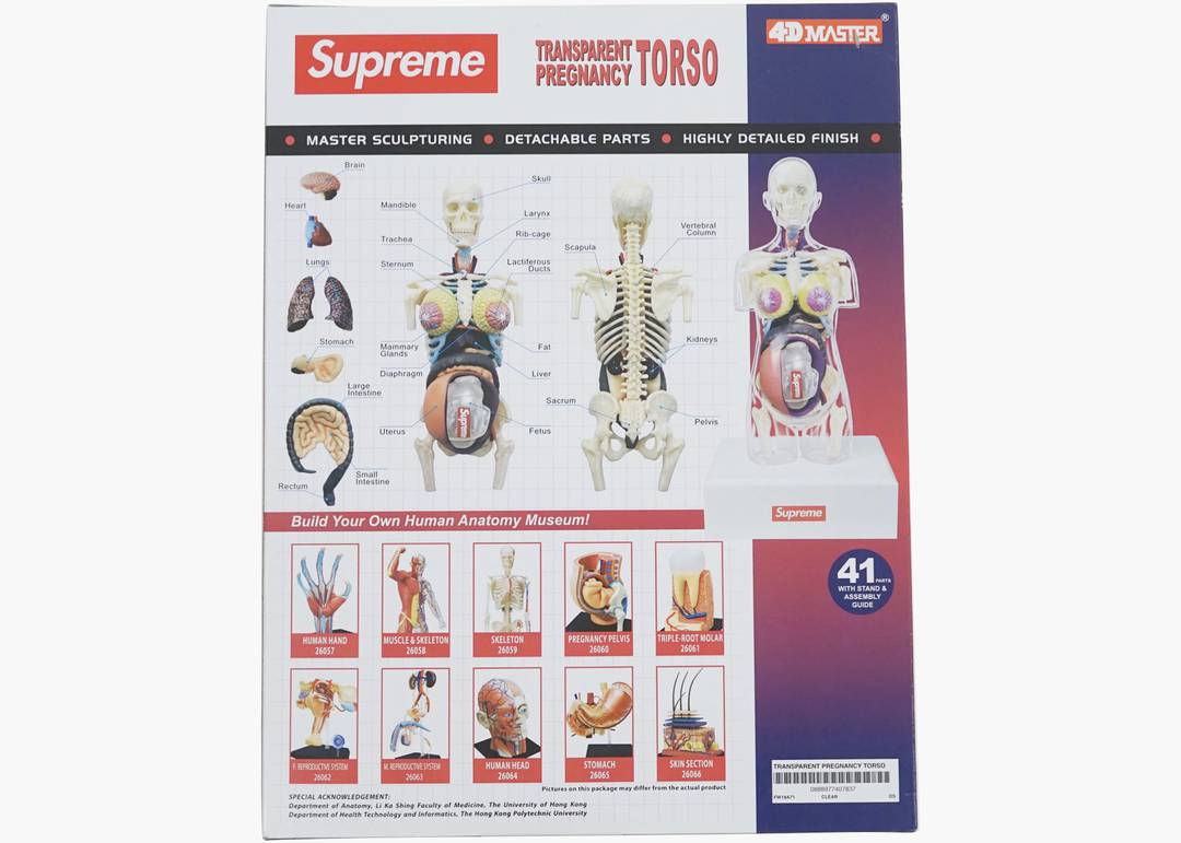 Supreme Female Anatomy Model Clear | Hype Clothinga Supreme Female Anatomy Model Clear | Hype Clothinga