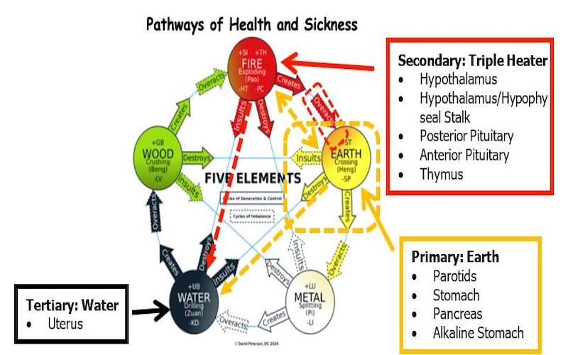 From Pain to Harmony: The Untold Story of Organ Health in Functional ...