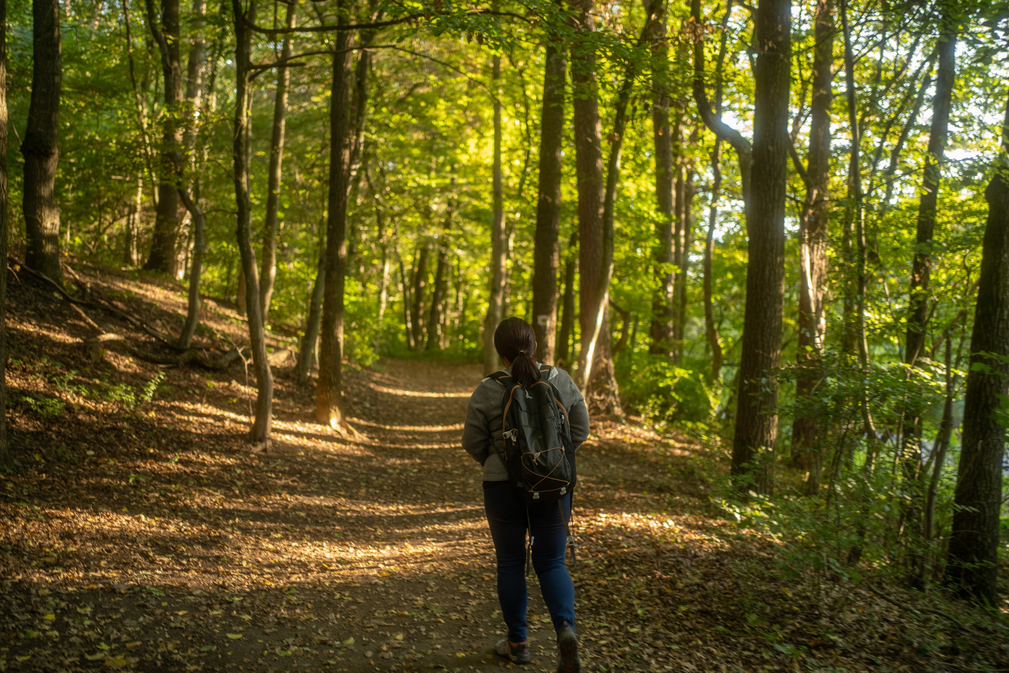 How does compassion for nature shape the behaviour of responsible tourists?