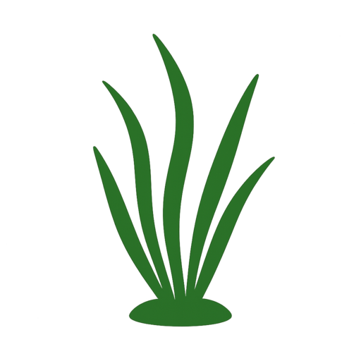 IndoPacific Blue Carbon DataHub