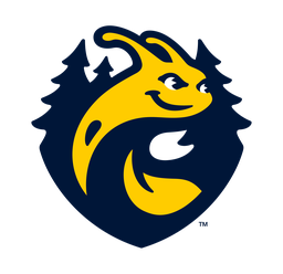 iCourses - Course Rating Platform