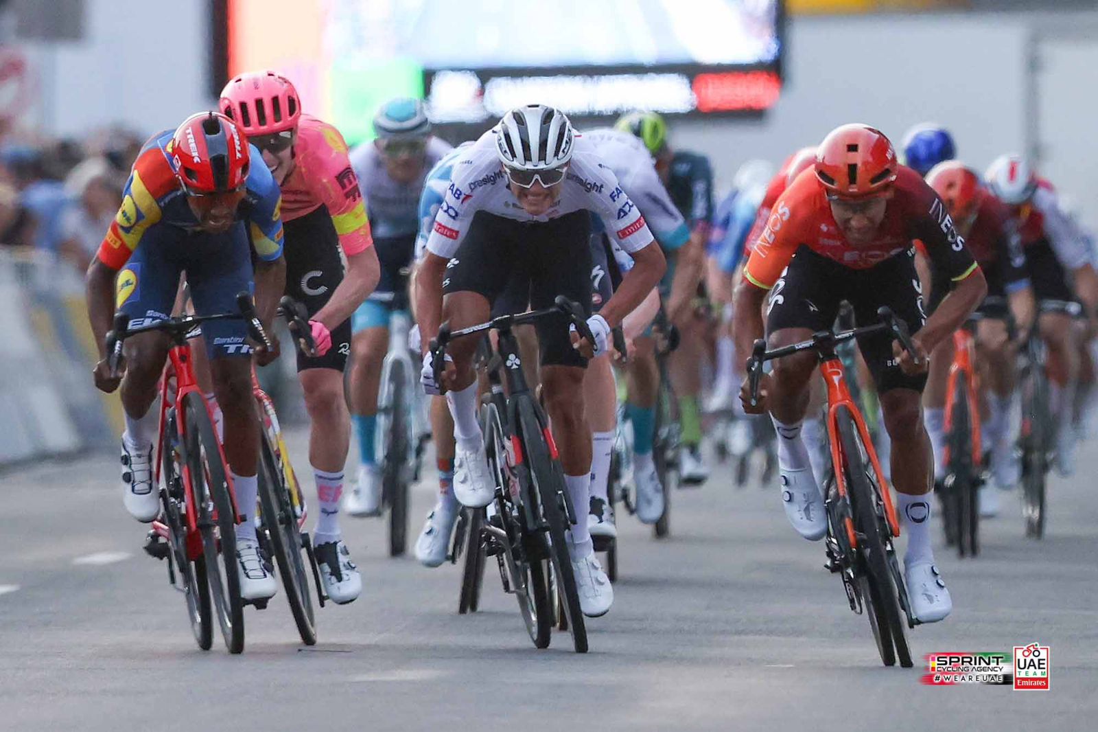 Isaac | Del Toro Romero