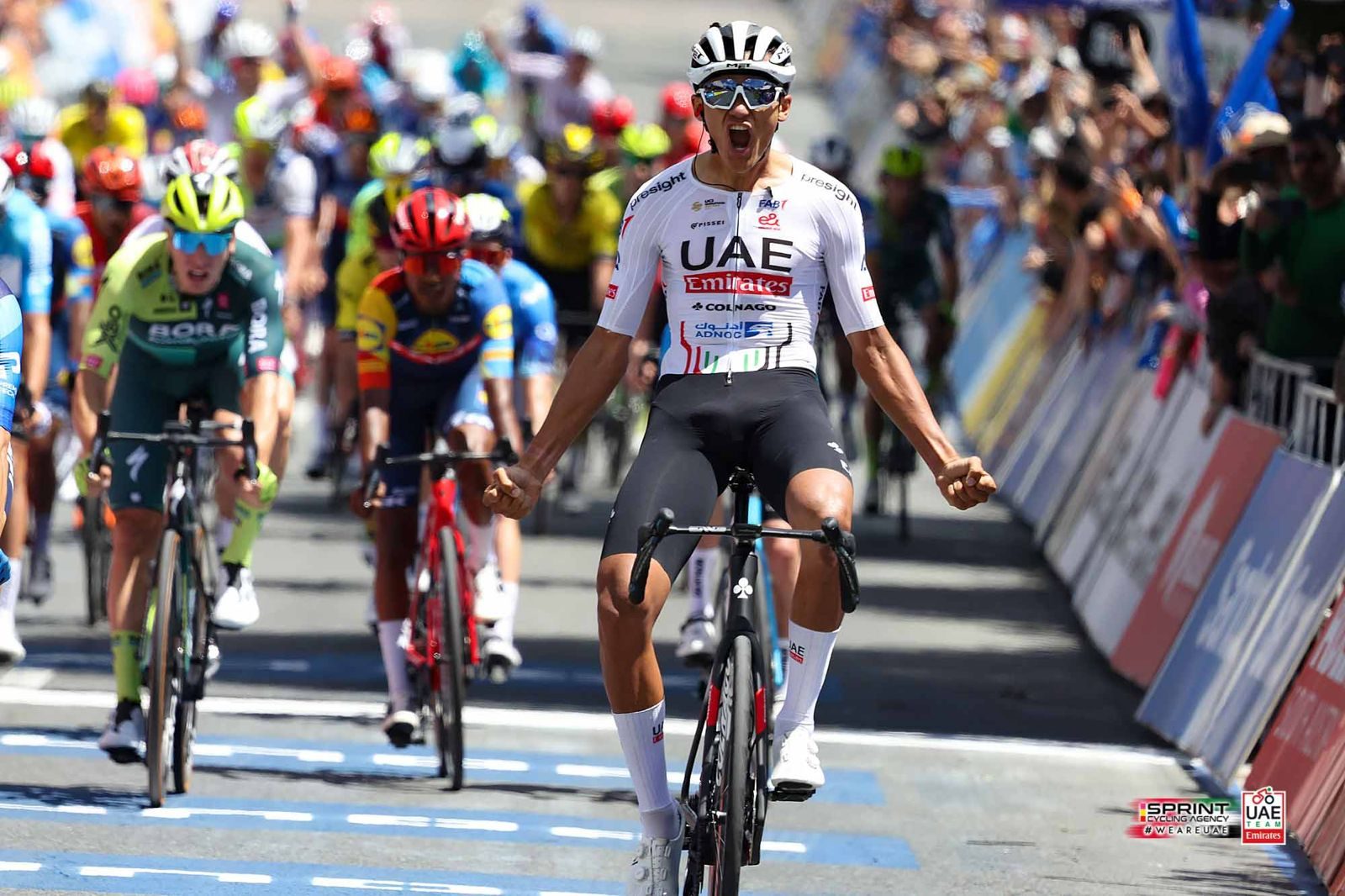 Isaac | Del Toro Romero